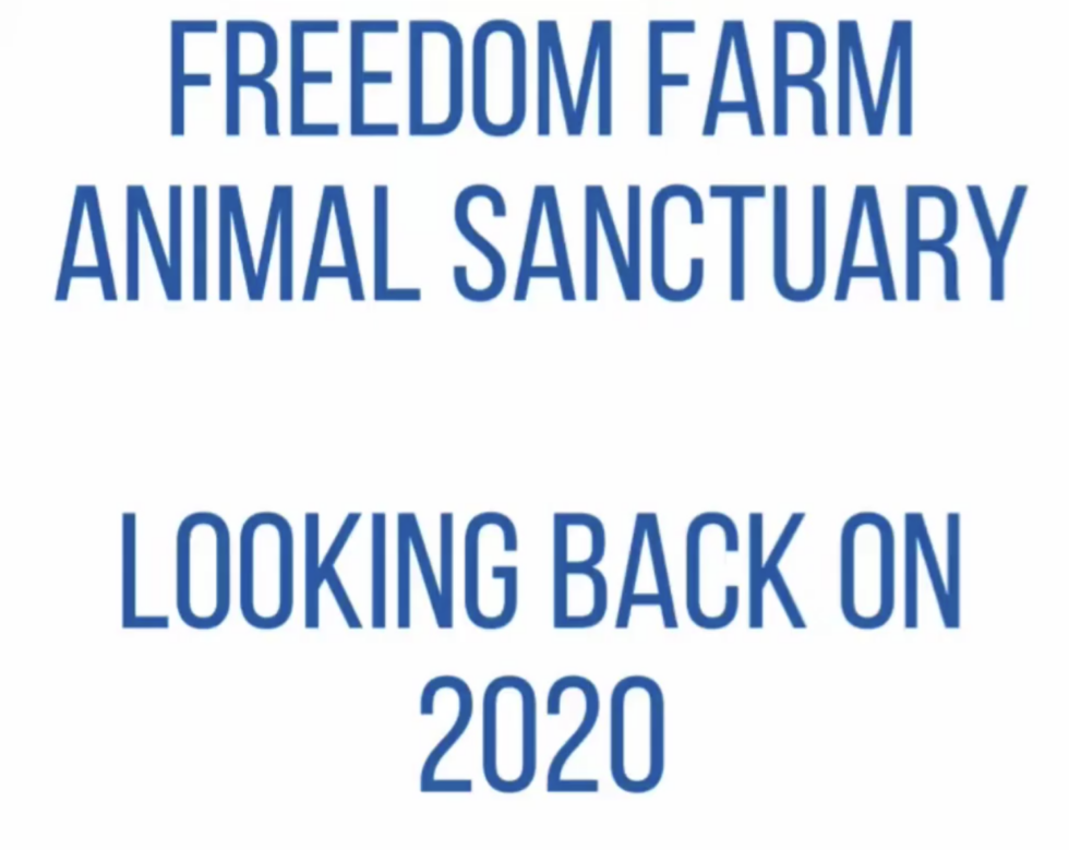 HOME | Freedom Farm Animal Sanctuary