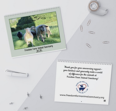 HOME | Freedom Farm Animal Sanctuary
